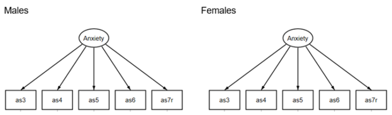 Measurement Invariance and Multiple Group Analysis - The Analysis Factor